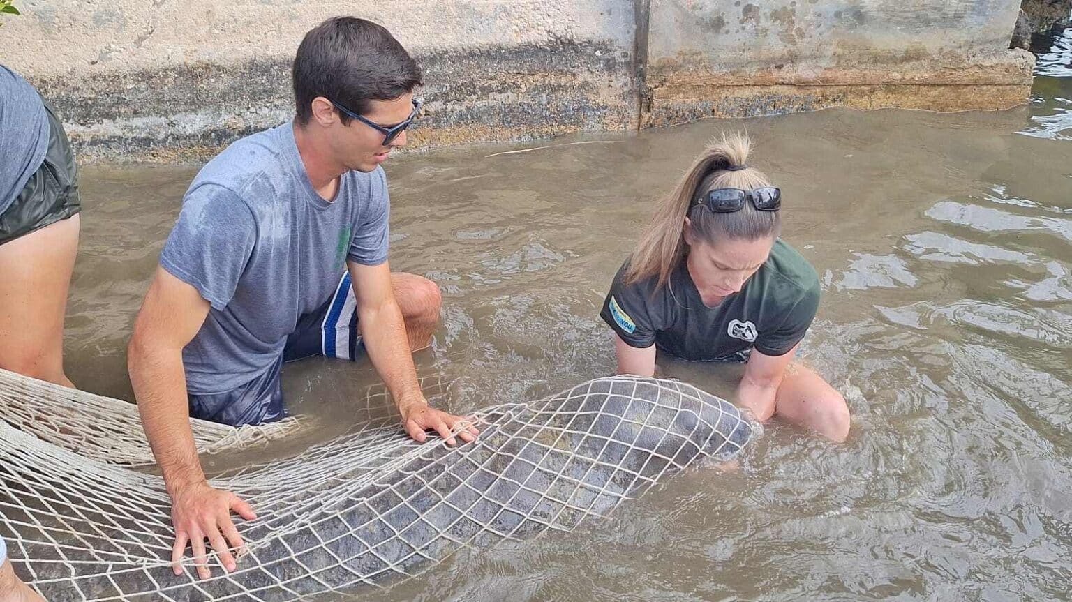 December 2024 Lecture "A Day in the Life of a Manatee Biologist ...