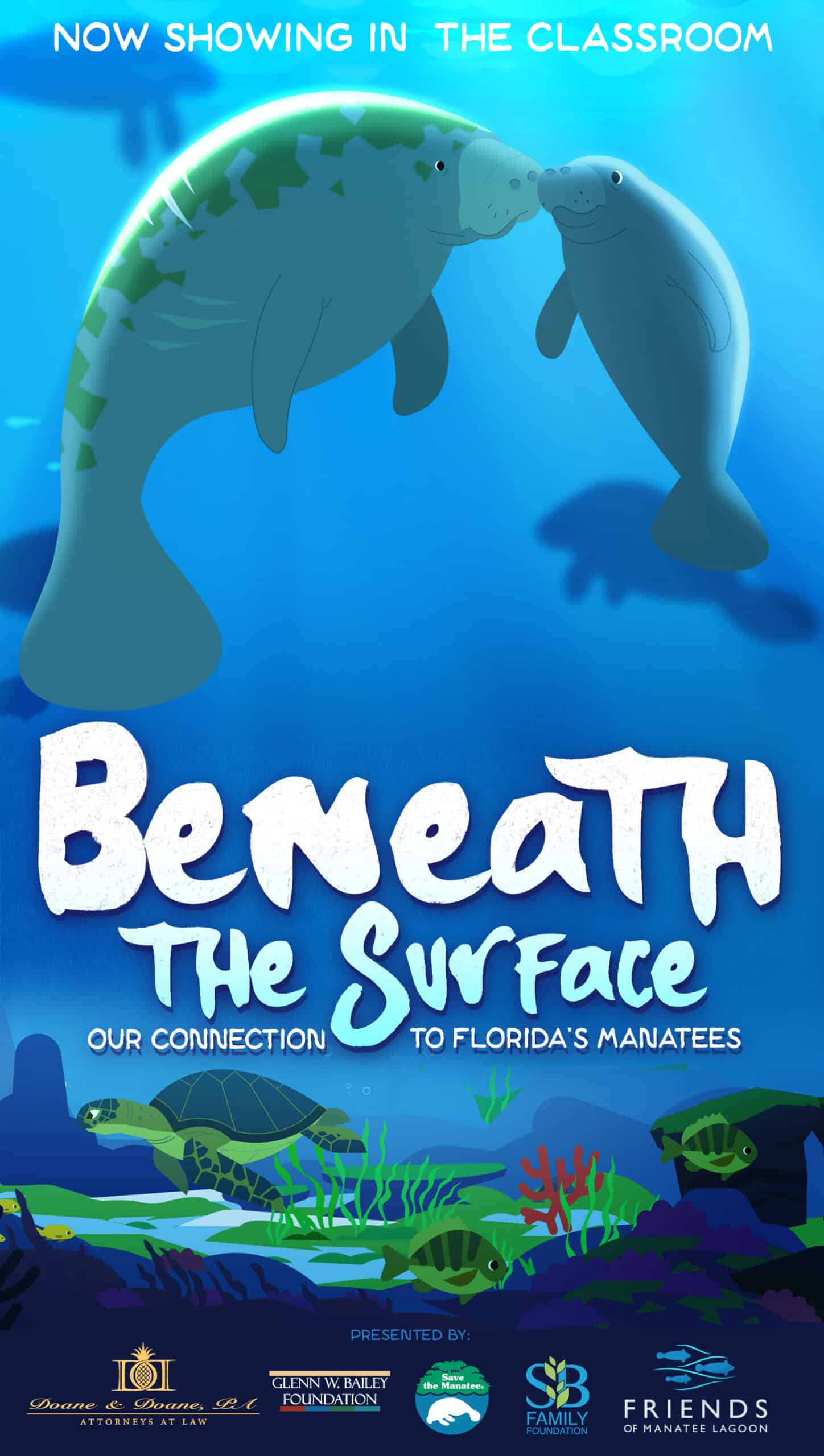 Beneath the Surface: Our Connection to Florida’s Manatees - Manatee Lagoon