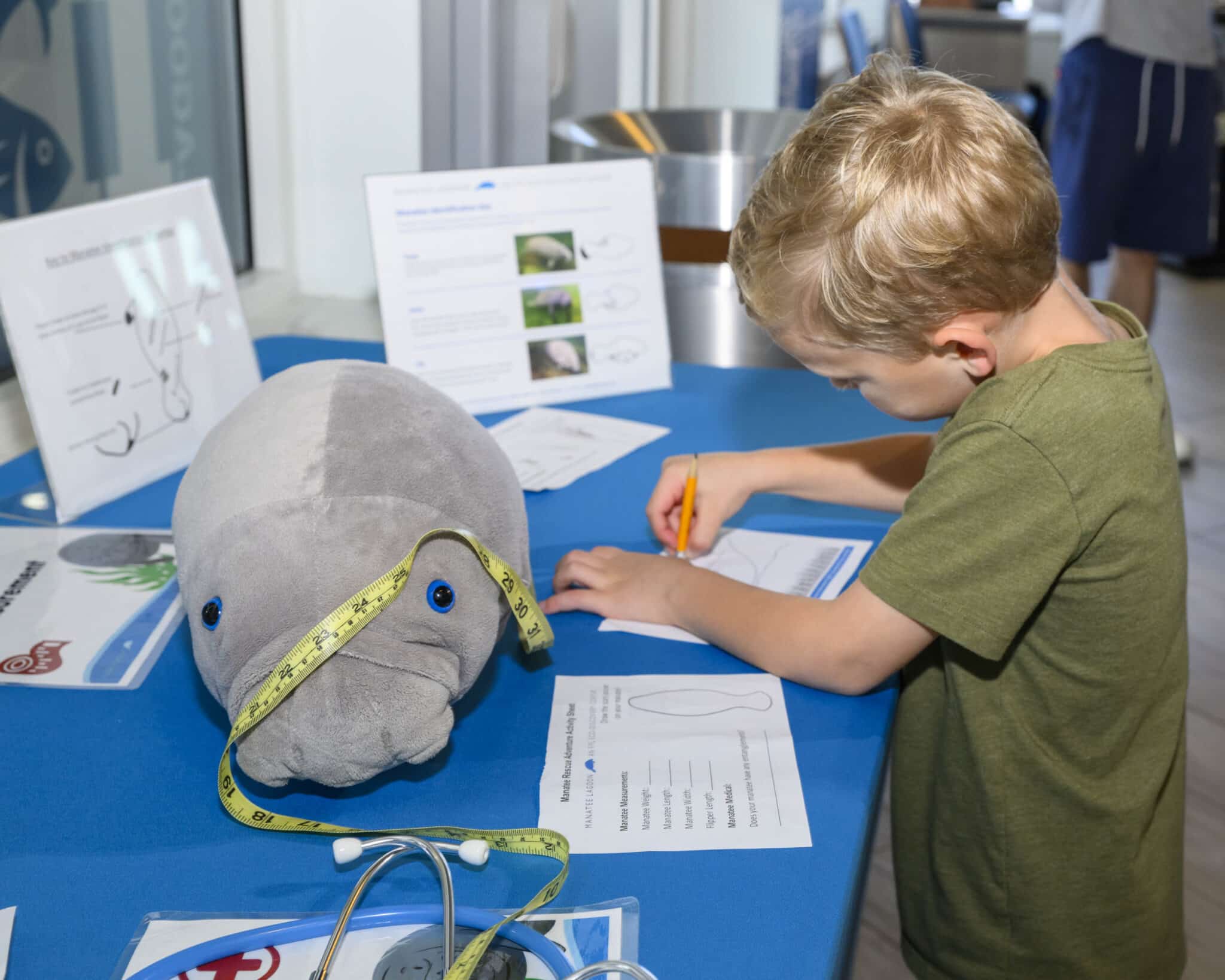 Manatee Season Kickoff - Manatee Lagoon